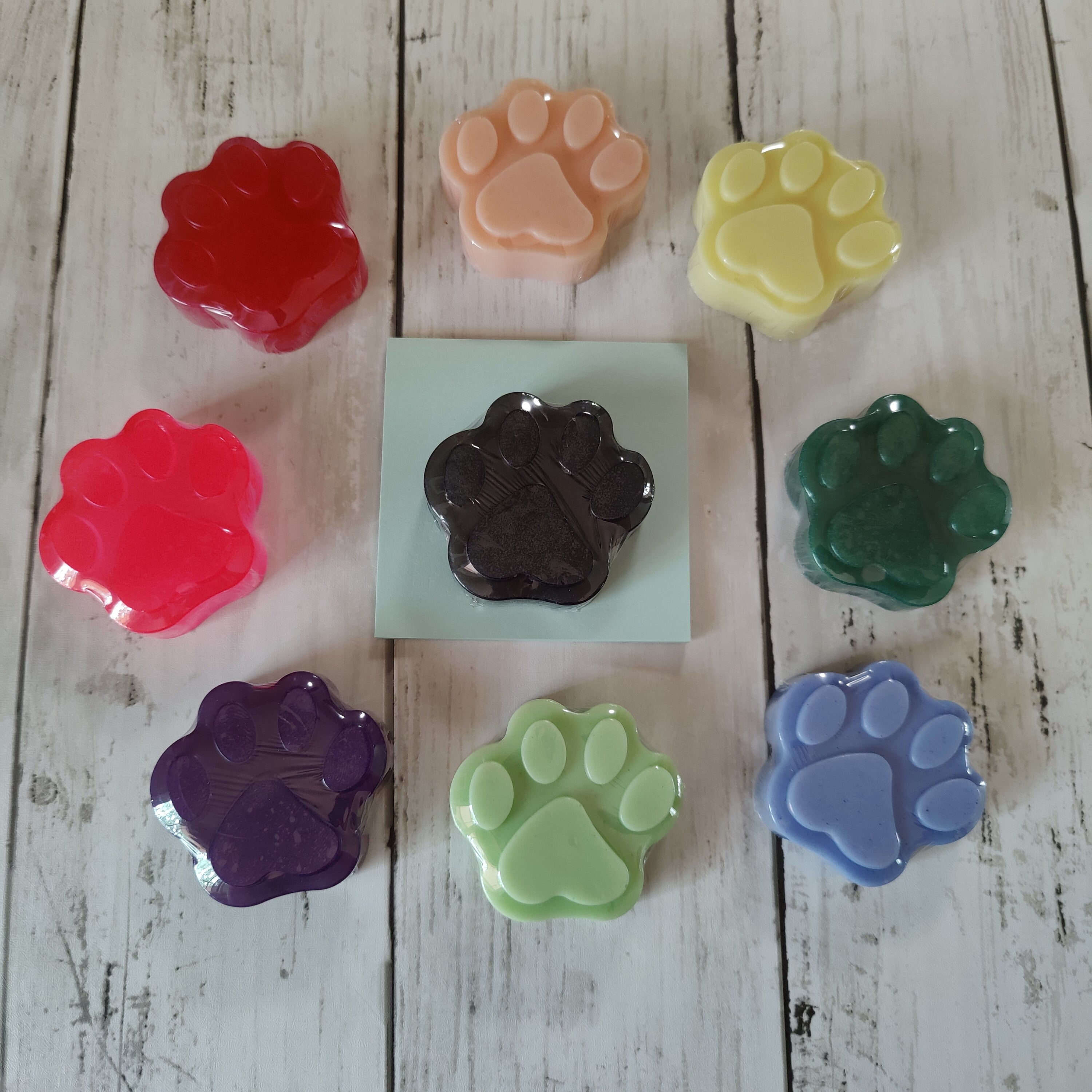 Paw Print Soap Bars-single – Potions N Lotions
